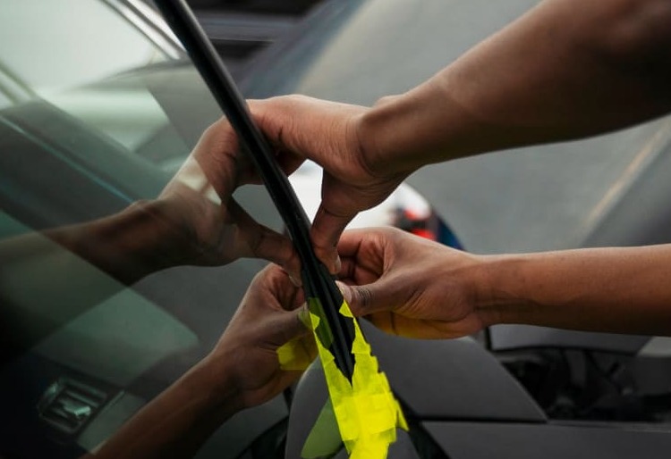 Impacto Medioambiental del Reciclaje Parabrisas | Carglass®