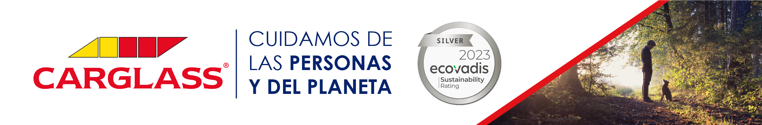 Carglass® España recibe el distintivo de plata EcoVadis | Carglass Corporate